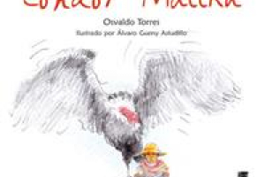 El Libro "Cóndor Mallku" está disponible en Biblioteca de Quillota ...